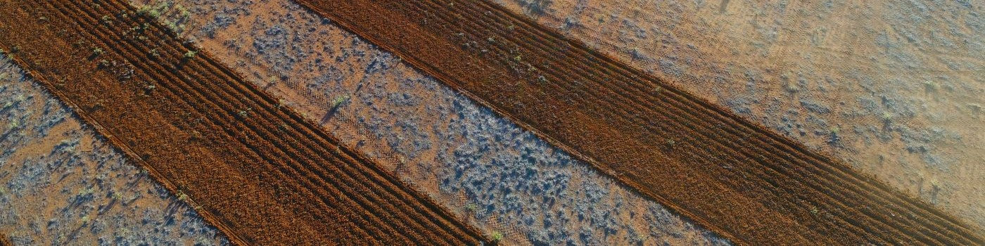 Digging Deeper: The Practice of Deep Ripping and Direct Seeding — Agrowplow